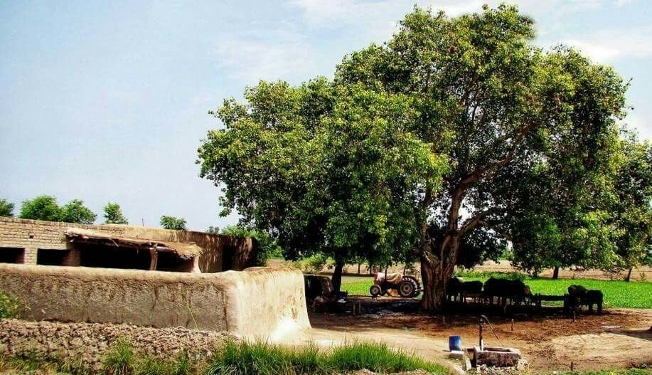 Punjab Villages: Top 10 biggest villages in Punjab - SikhHeros ...