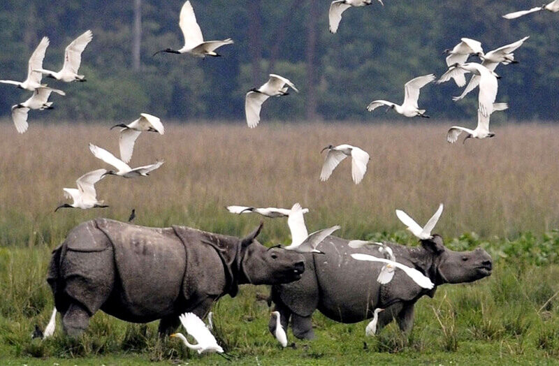 Chabeel: The Meaningful Tradition of Refreshment in Sikh Culture - Our ...
